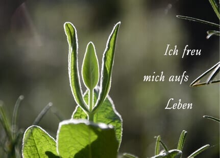 Ich freu mich aufs Leben - Danacards